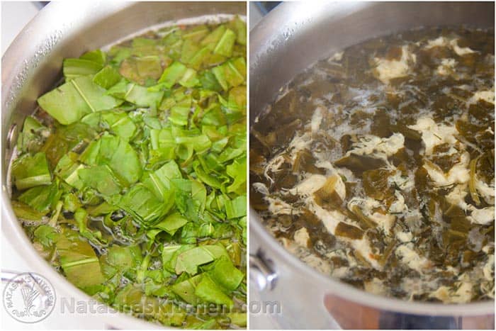 Shchavel Borscht (Sorrel Soup) Recipe