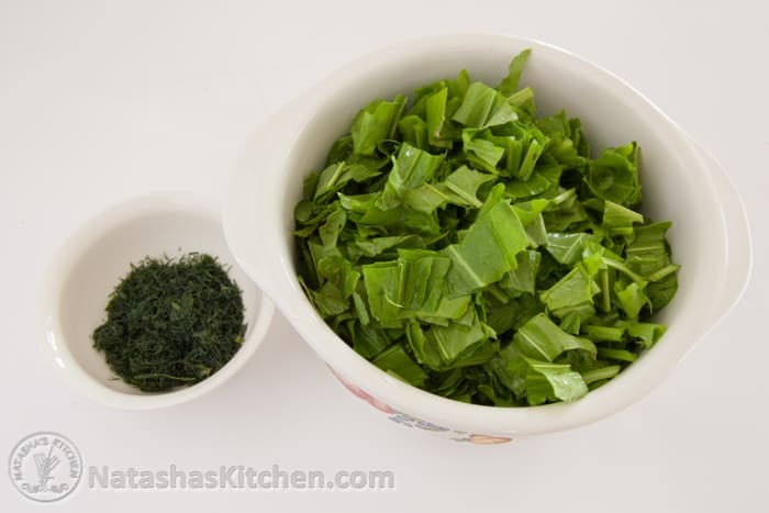 Shchavel Borscht (Sorrel Soup) Recipe