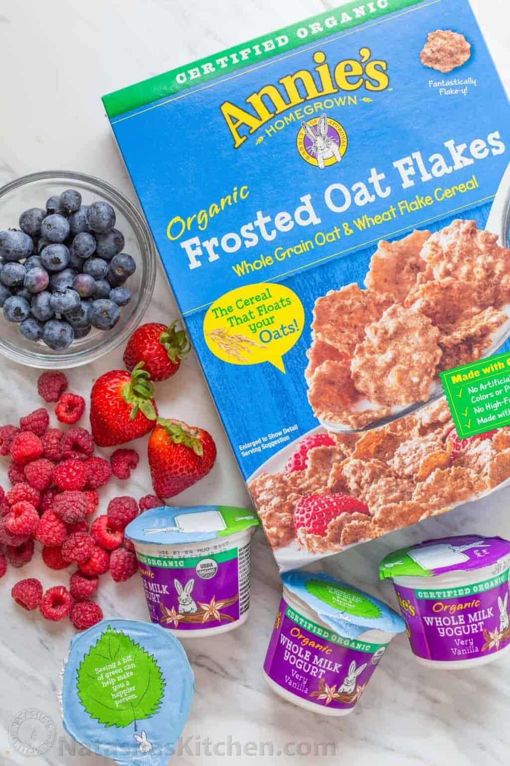 School Lunch Ideas + Kid Friendly Yogurt Parfait - NatashasKitchen.com