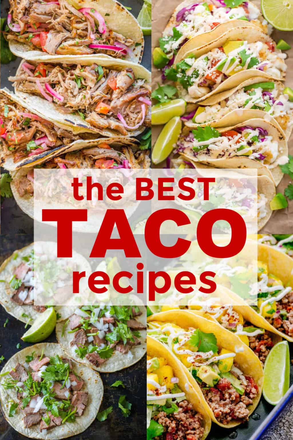 The Best Taco Recipes