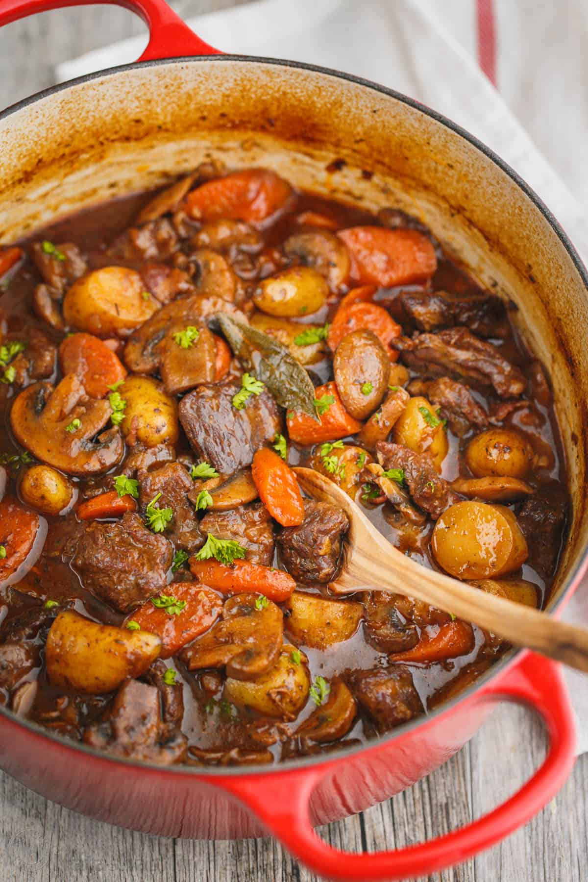 Instant Pot Beef Stew Video Sale Www flextechnologies