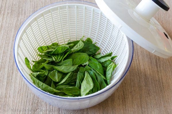 Basil Pesto Recipe